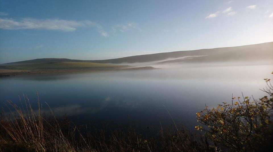 Tingaholm – Bogenwald