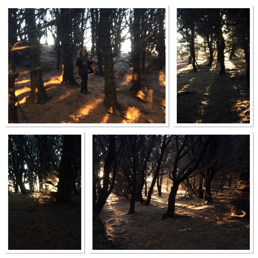 Dark Future…Motorcycle’s Finished – Bogenwald