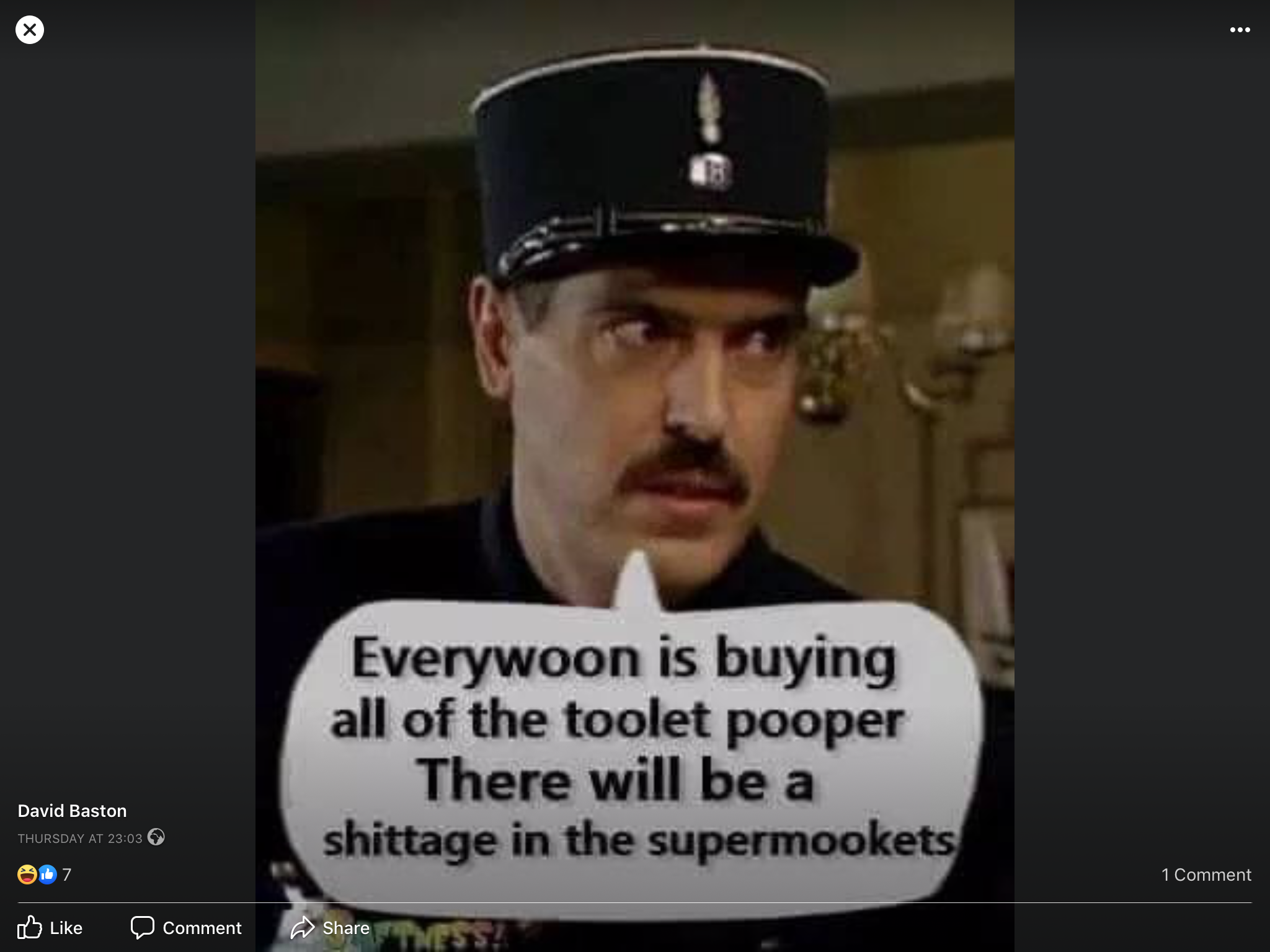 New Things – Bogenwald