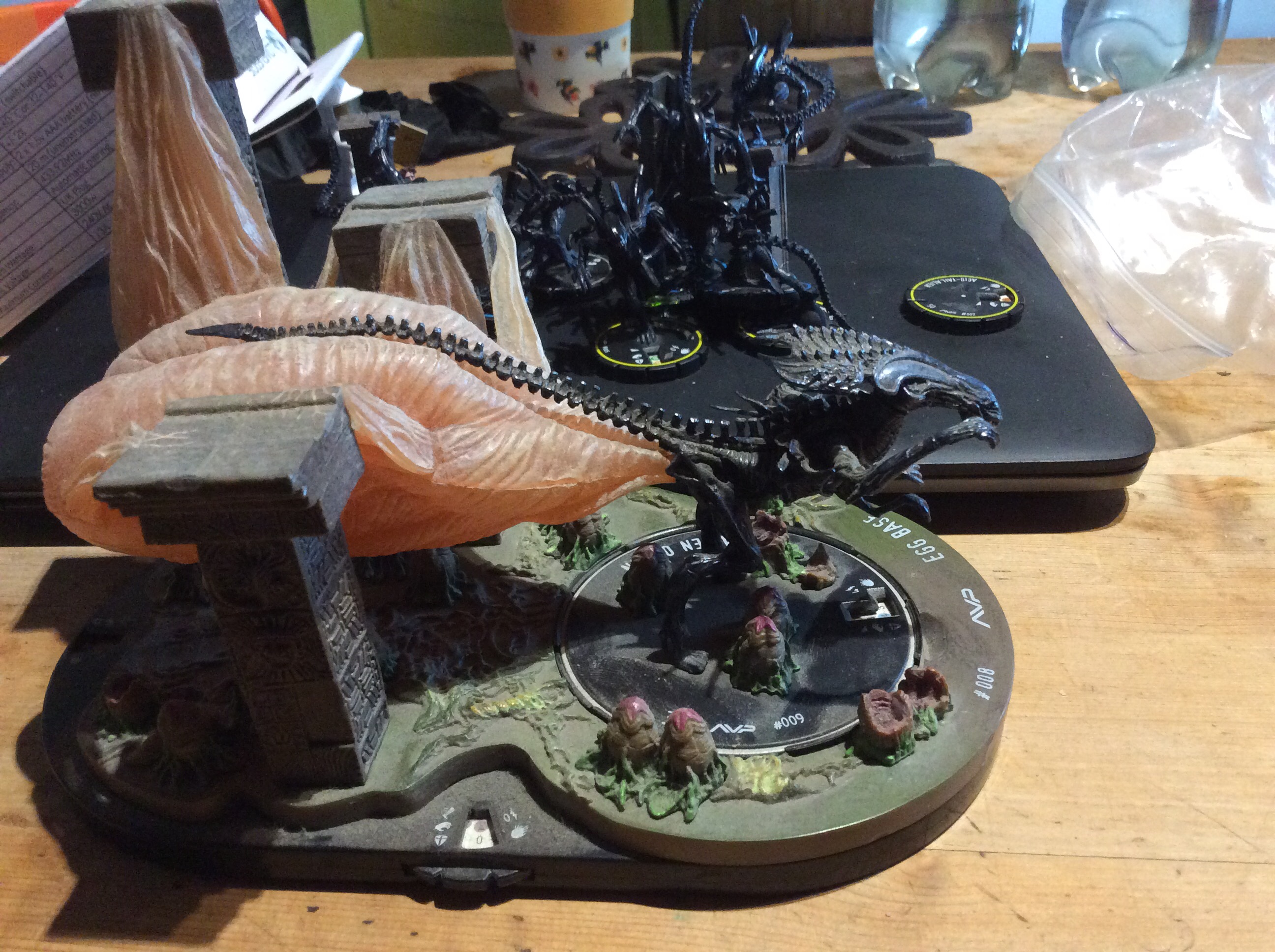 Minis off to their New Home – Bogenwald