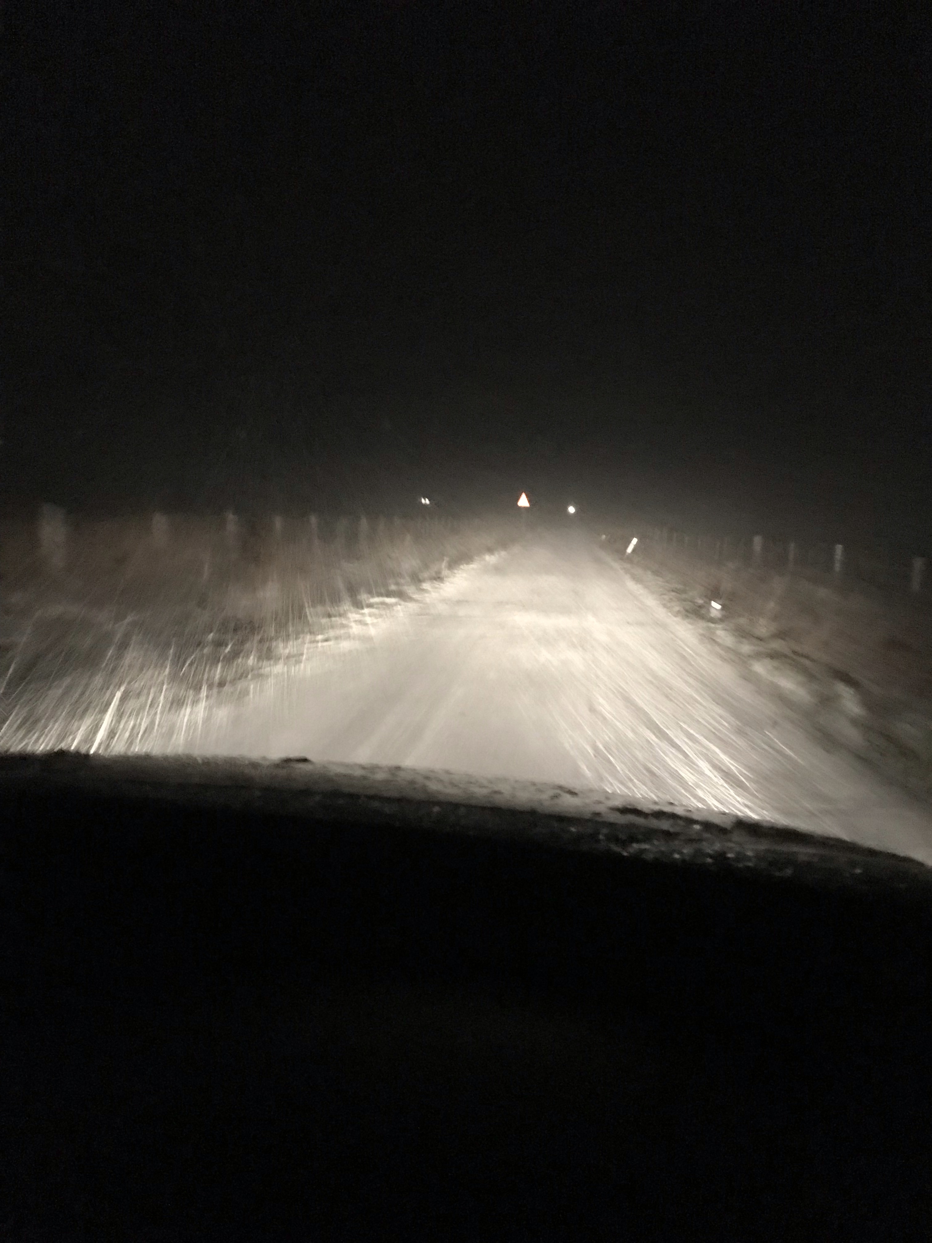 Off the Printer… Again – Bogenwald