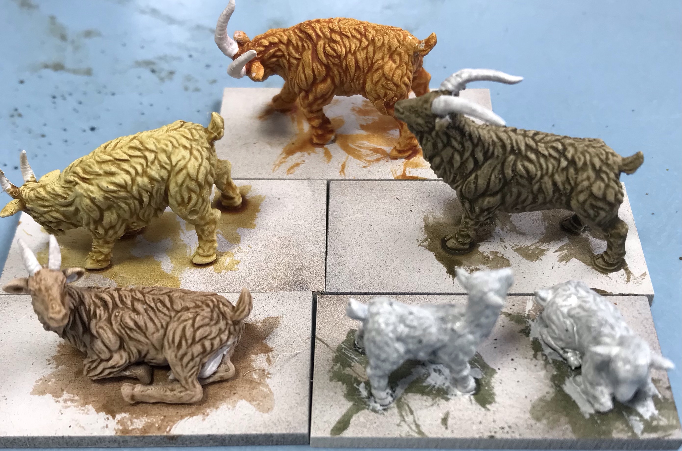 New Paints…Reactivation – Bogenwald