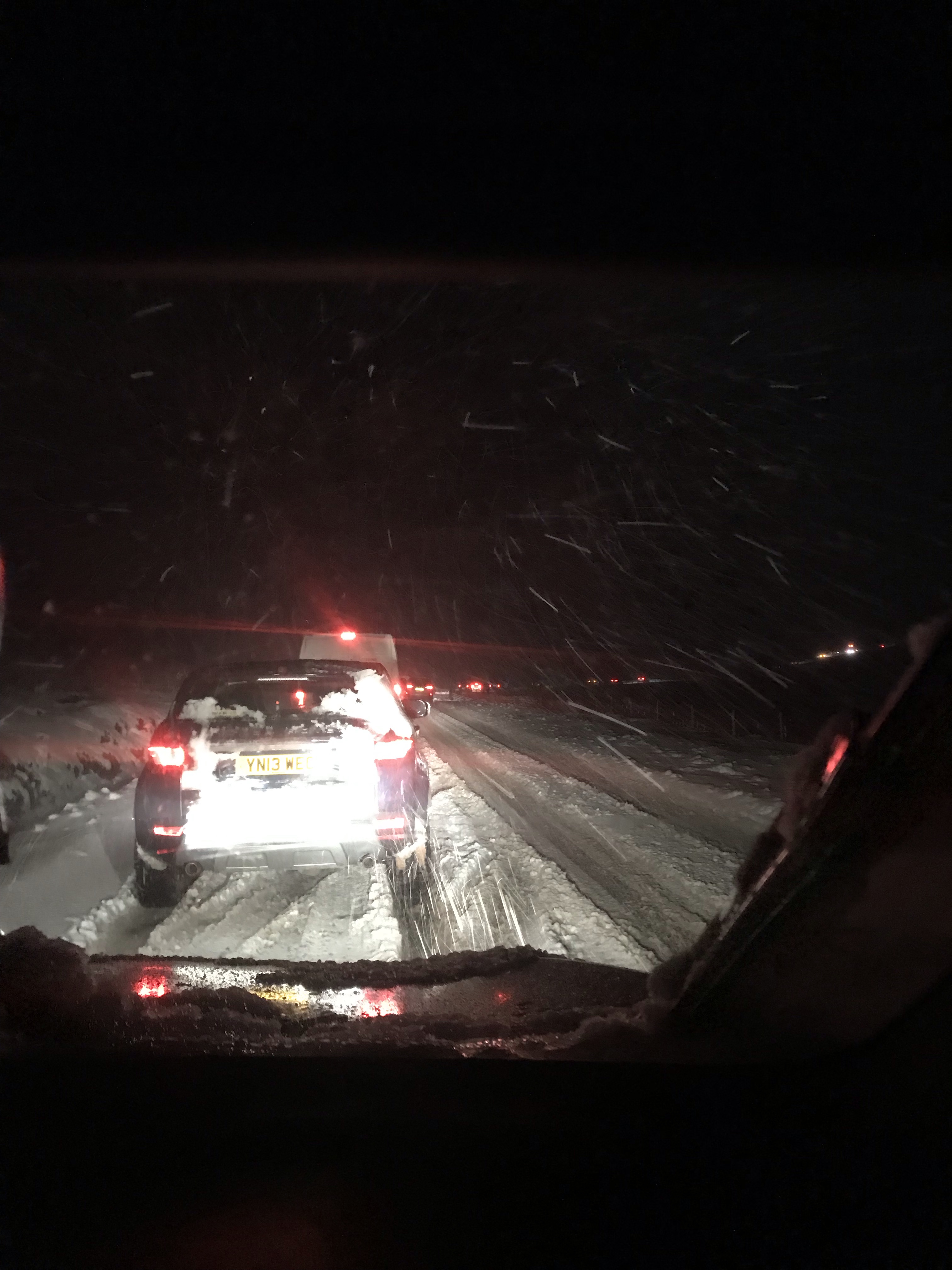 Brrrrrrrr – Bogenwald