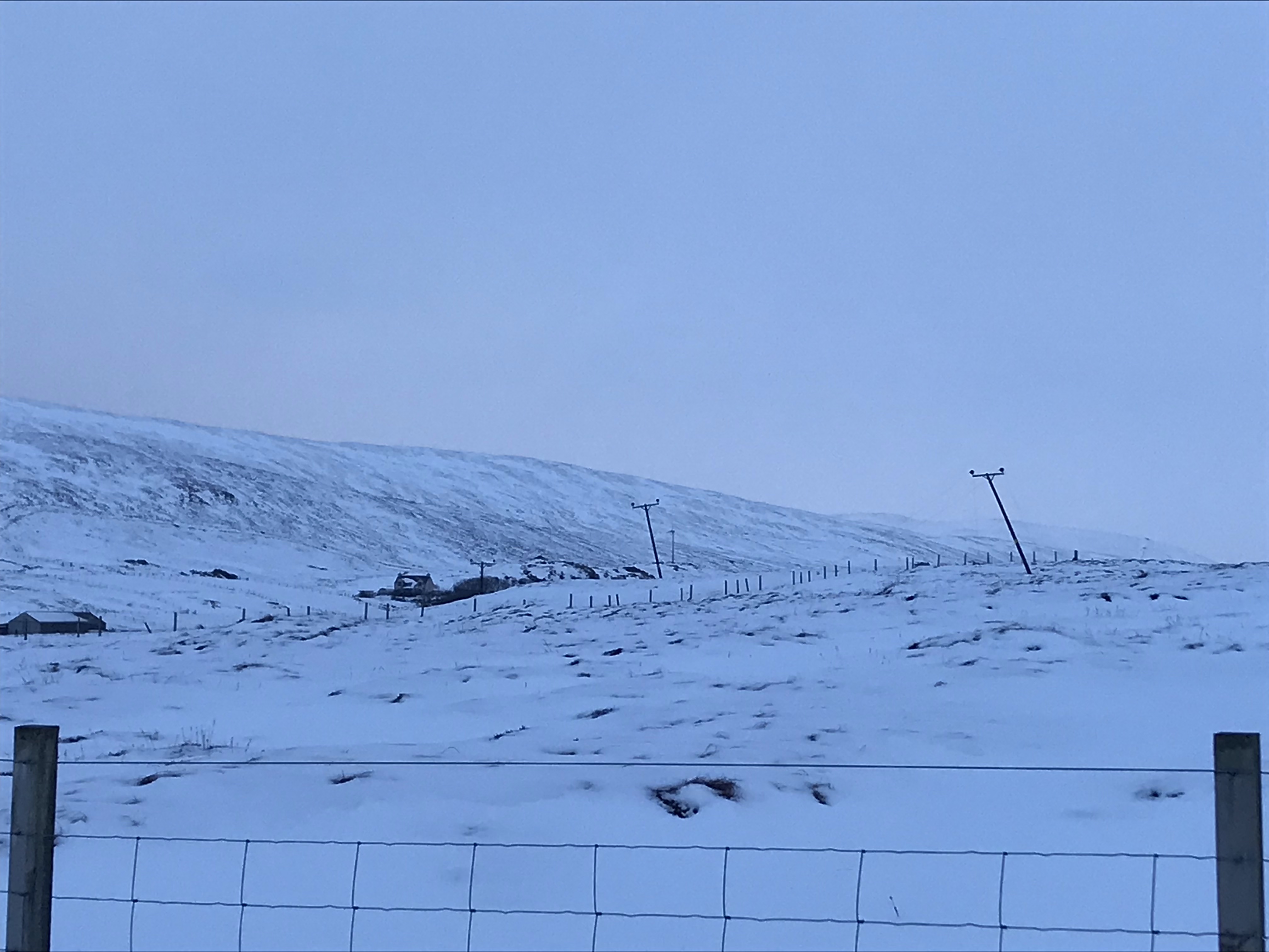 Woohoo Power! – Bogenwald