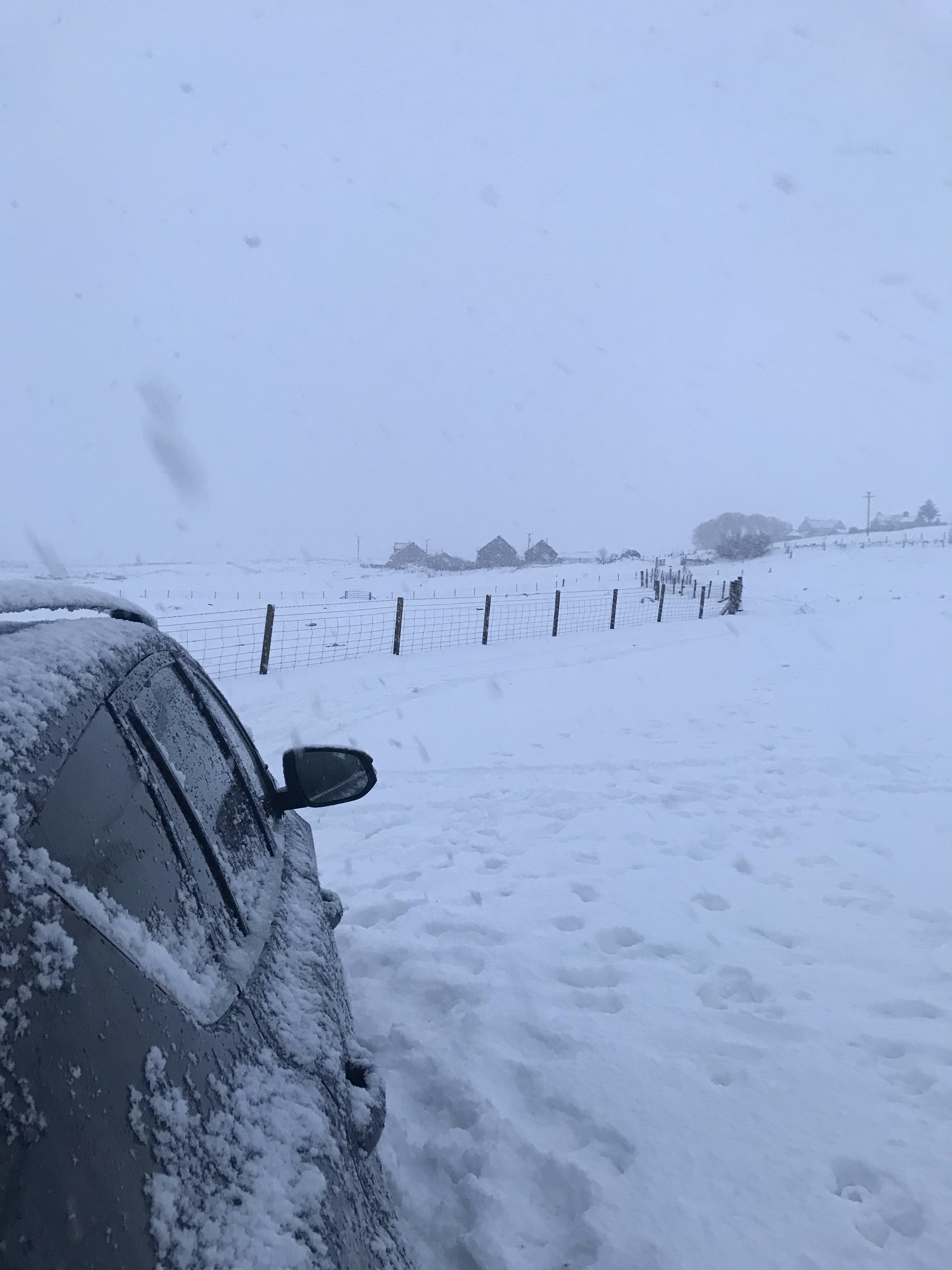 Woohoo Power! – Bogenwald