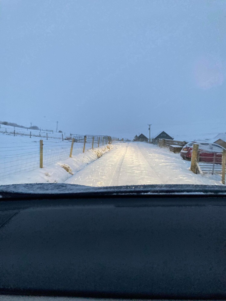 Woohoo Power! – Bogenwald