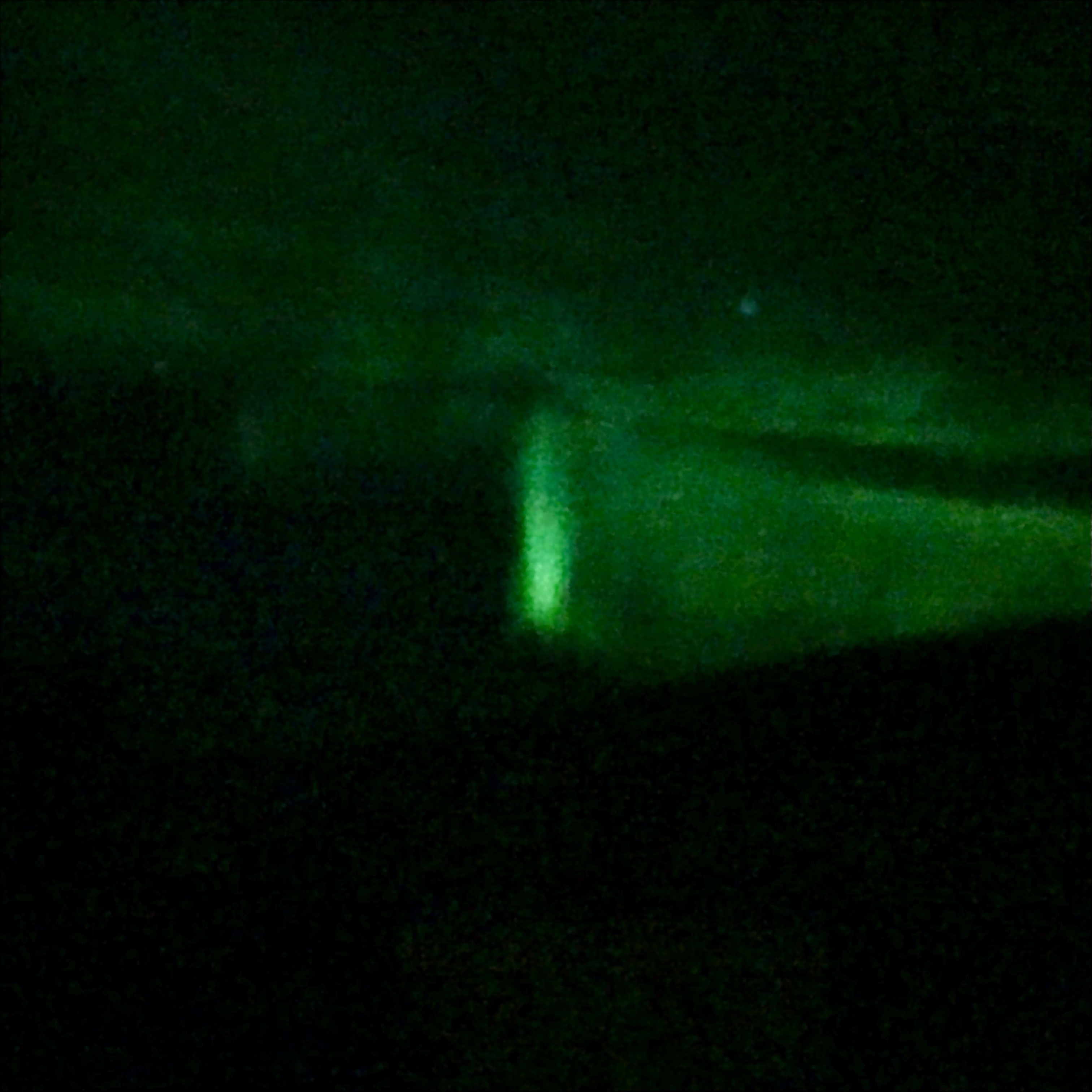 The Dancers were Out – Bogenwald