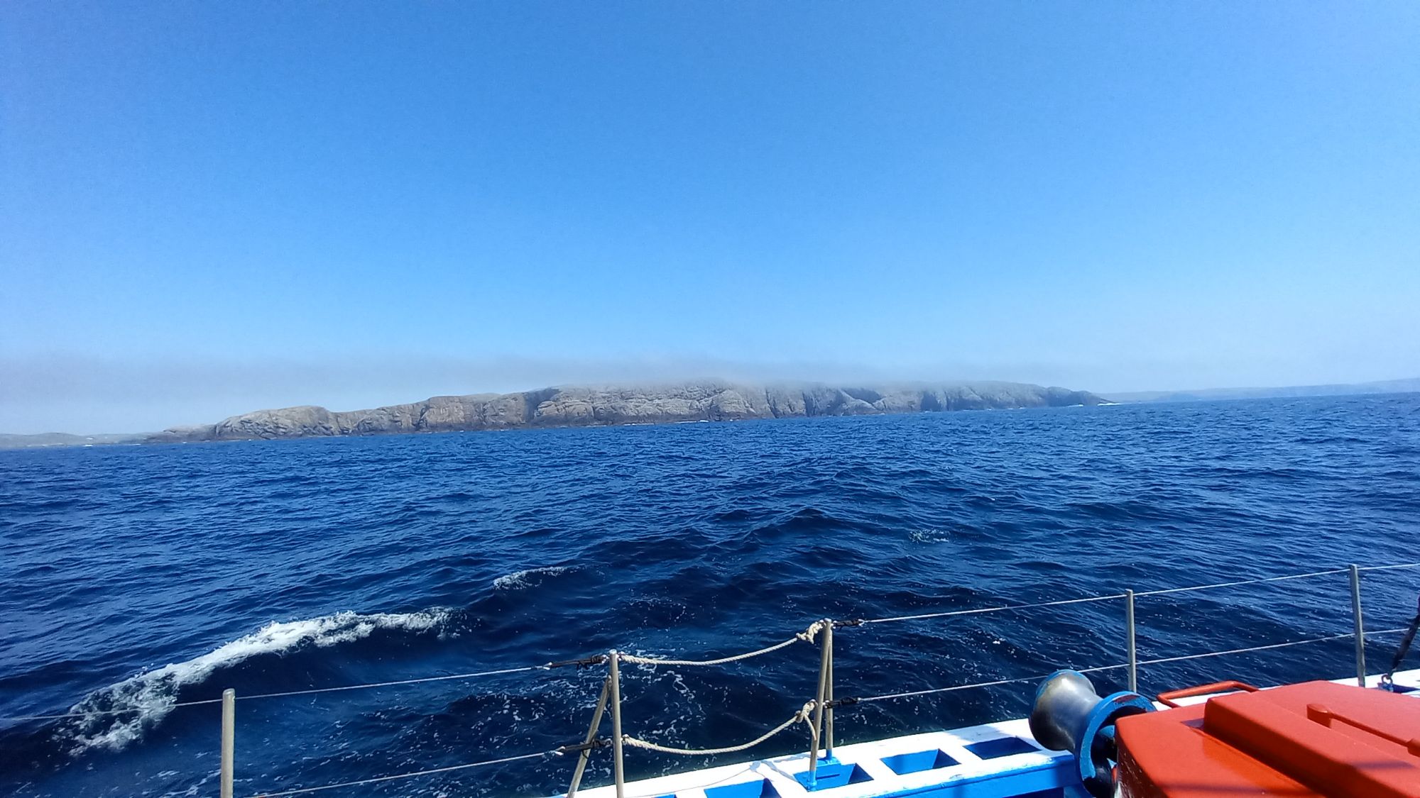 Under Sail – Bogenwald