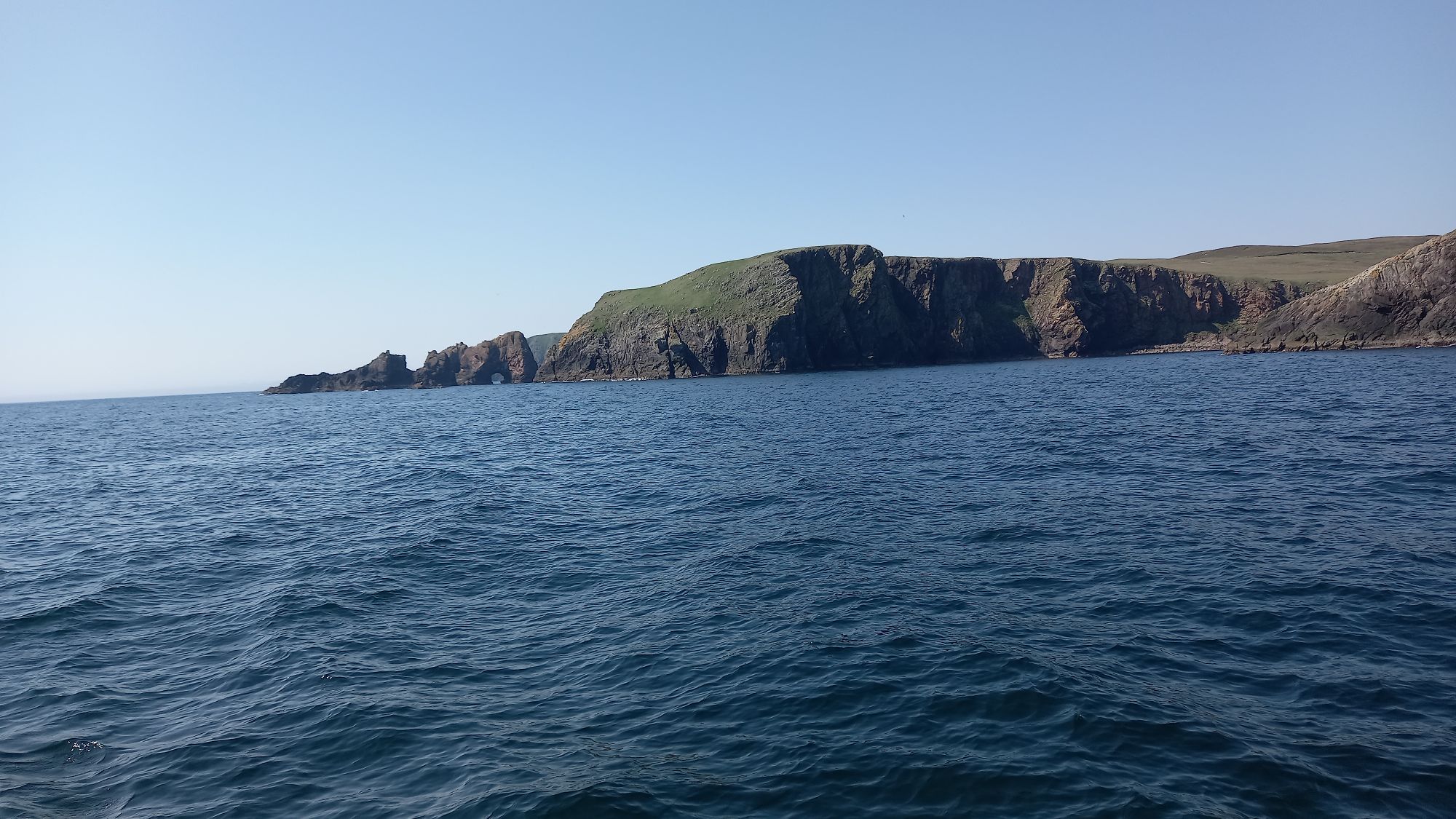 Under Sail – Bogenwald