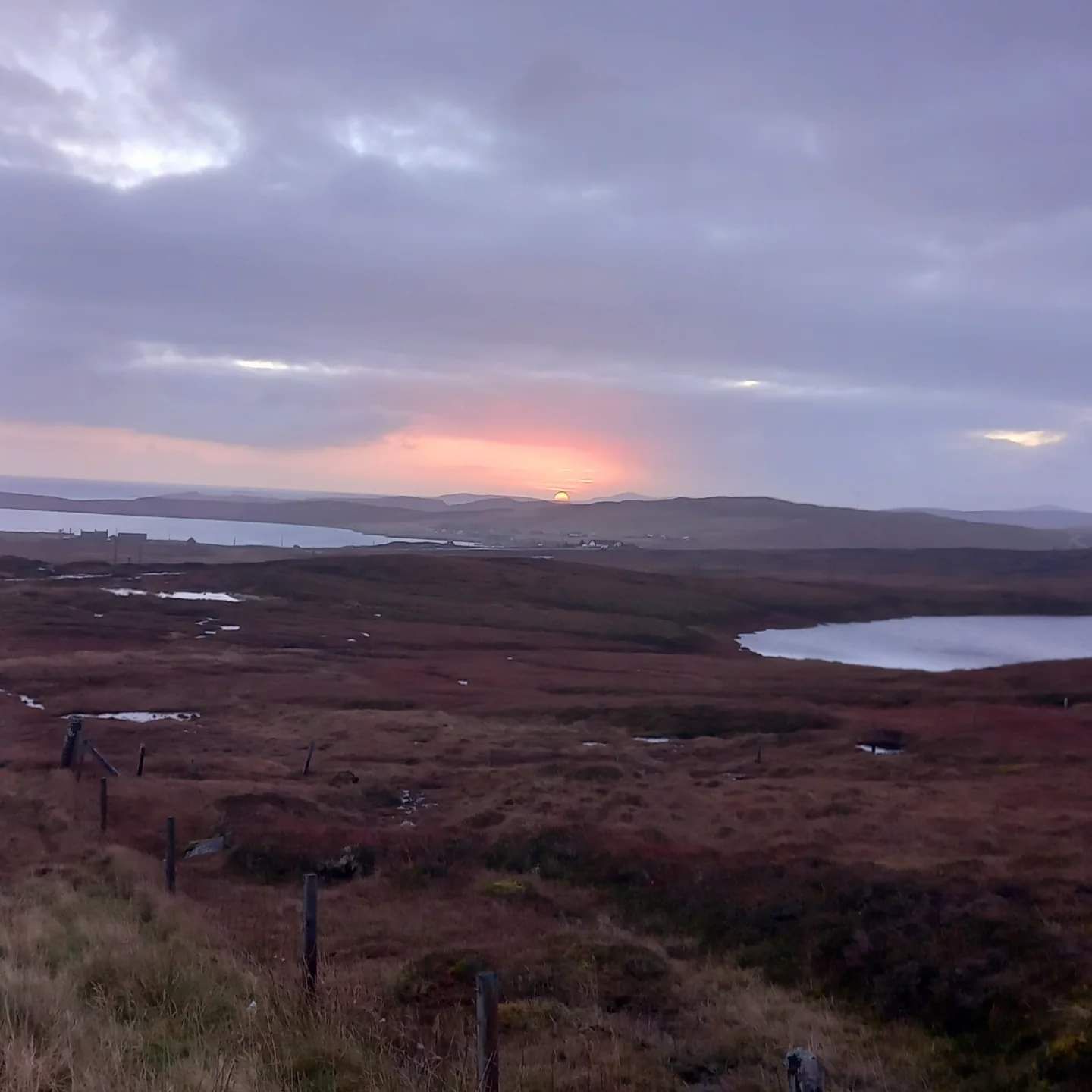 Geek Club Success – Bogenwald